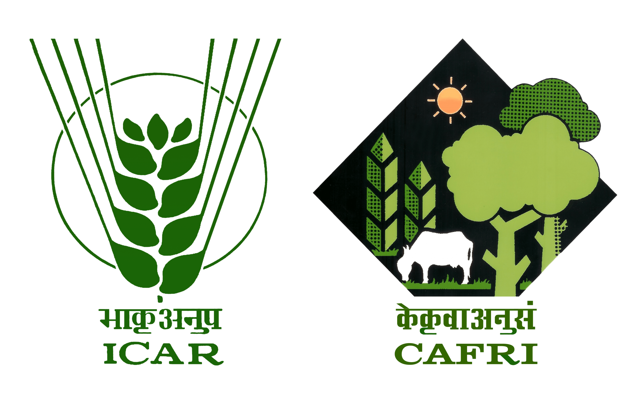 Official logos - ICAR-CAFRI